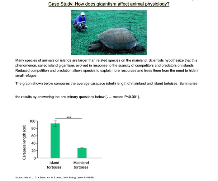 SOLVED: Case Study: How does gigantism affect animal physiology2 Many ...