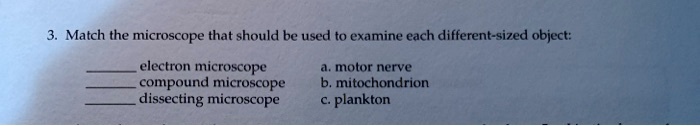 SOLVED: Match the microscope that should be used t0 examine each different-sized object ...