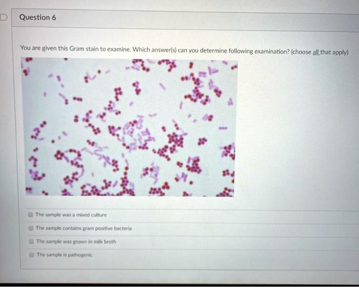 SOLVED: You are given this Gram stain to examine: Which answer(s) can ...