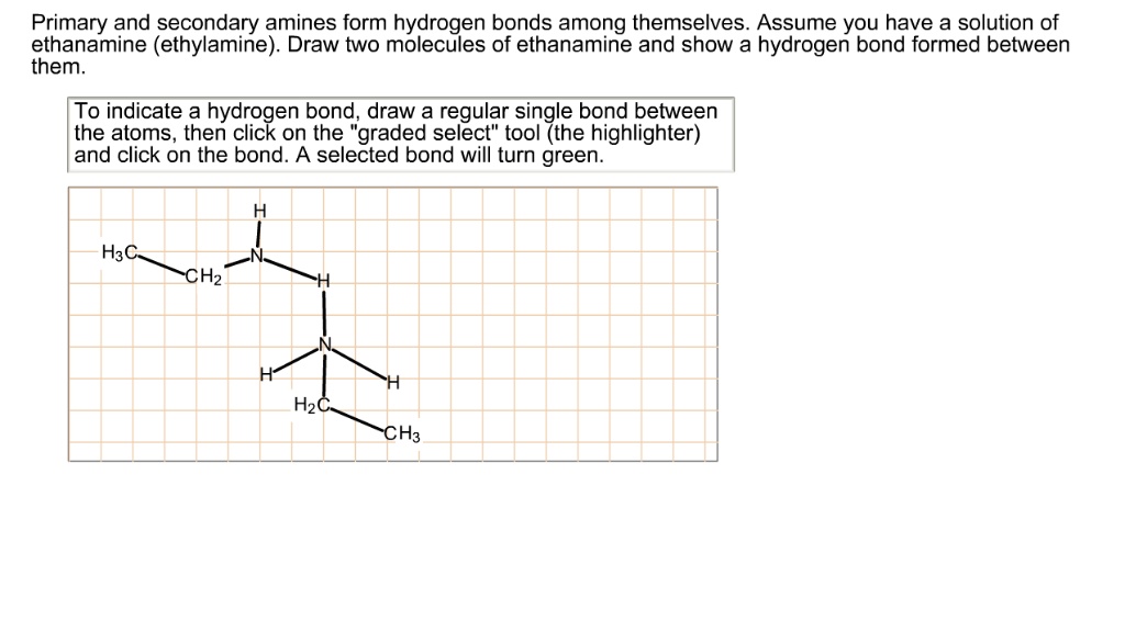 SOLVED: Primary and secondary amines form hydrogen bonds among ...