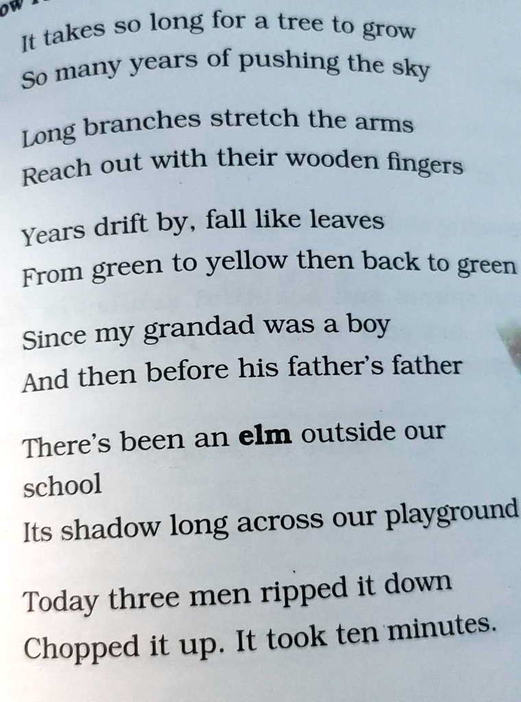 poetic devices used in our tree ow takes so long for a tree to grow it ...