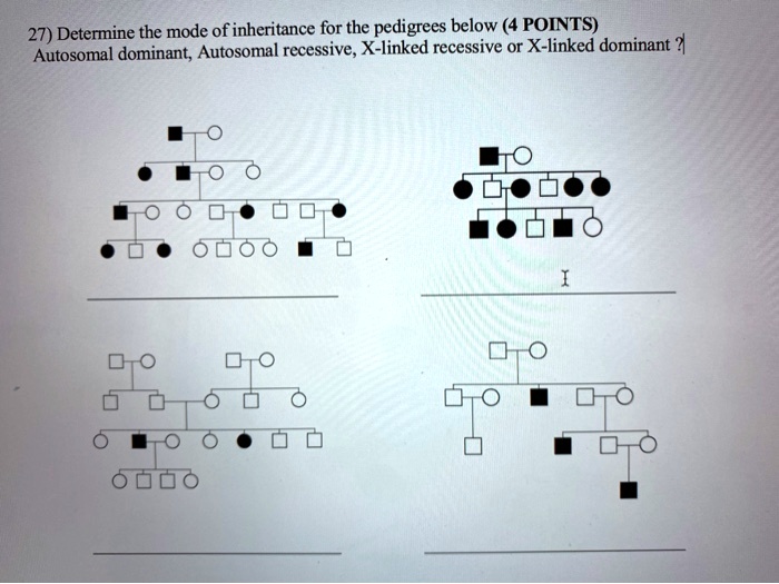 Solved Determine The Mode Of Inheritance For The Pedigrees Below 4