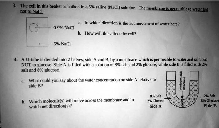 SOLVED: The cell in this beaker is bathed in a 5% saline (NaCl ...