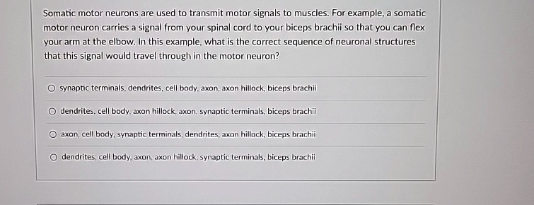 Somatic motor neurons are used to transmit motor signals to muscles ...