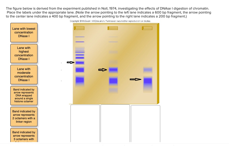 The figure below is derived from the experiment published in Noll, 1974 ...