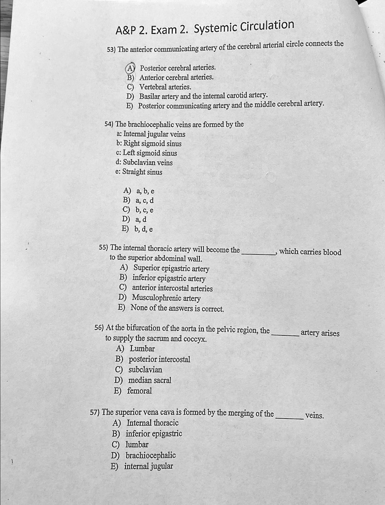 SOLVED: A P 2. Exam 2. Systemic Circulation The anterior communicating ...