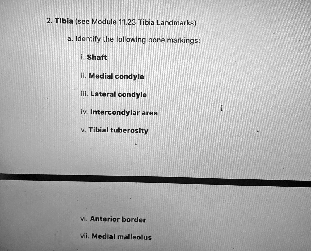 Tibia (see Module 11.23 Tibia Landmarks) a. Identify the following bone ...