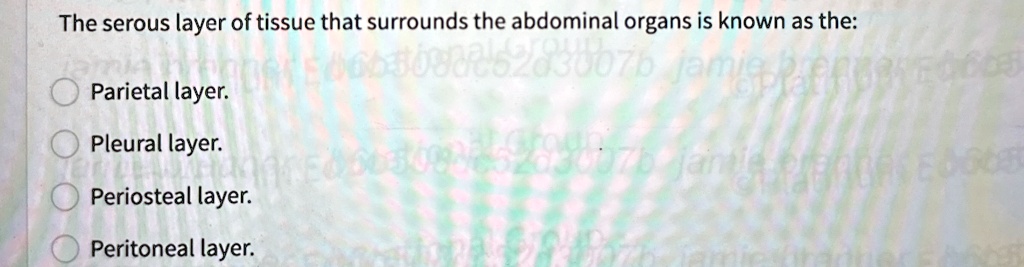 The serous layer of tissue that surrounds the abdominal organs is known ...