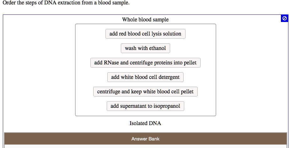 SOLVED: Order the steps of DNA extraction from a blood sample Whole ...