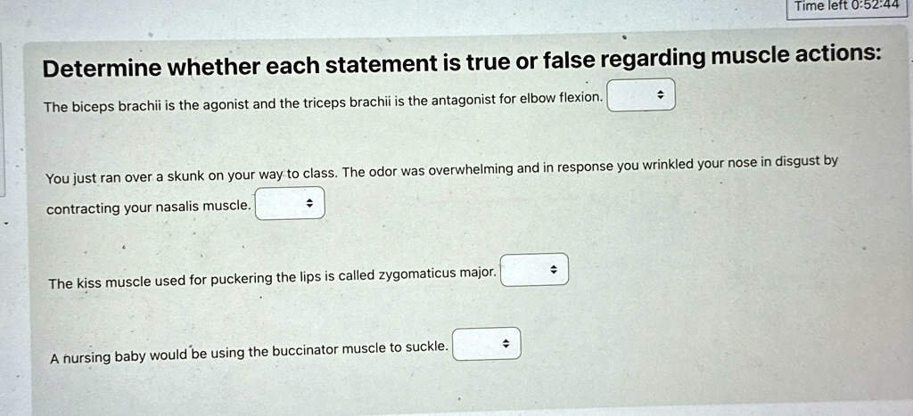 determine whether each statement is true or false regarding muscle ...