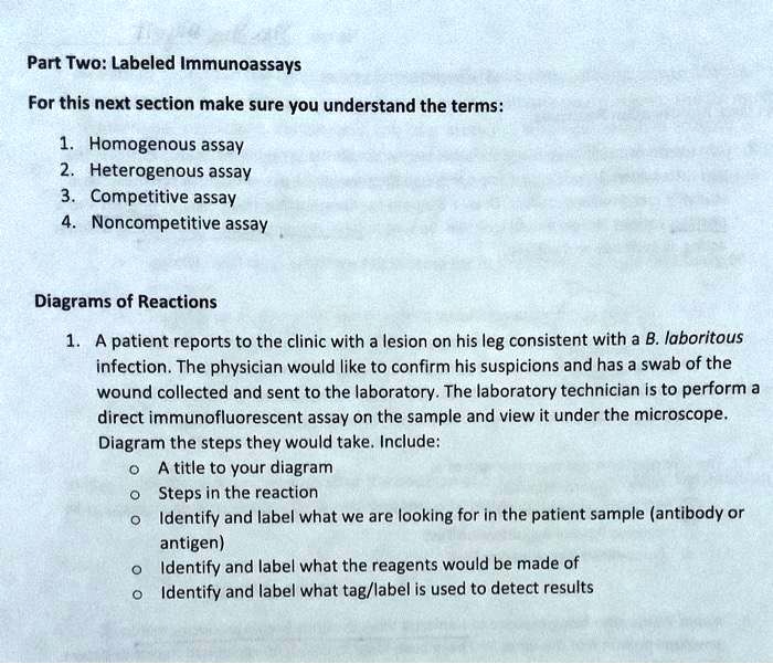How Do Heterogeneous Assays Differ From Homogeneous Assays at Geraldine ...