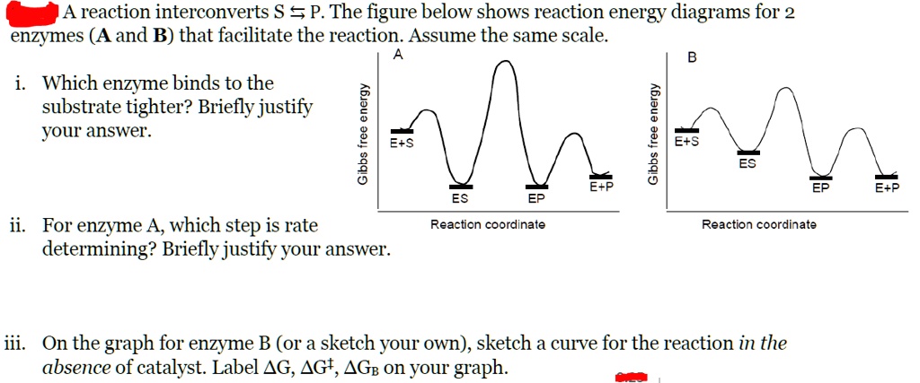 A reaction interconverts S ⇌ P. The figure below shows reaction energy ...