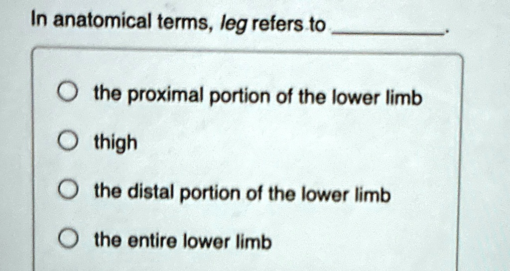 In anatomical terms, leg refers to the proximal portion of the lower ...