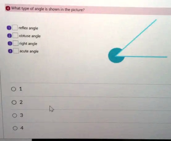 SOLVED: What type of angle Is shown In the picture? reflex angle obtuse ...