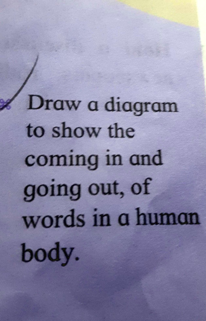 SOLVED: 'draw a diagram to show the coming in and going out of words in ...