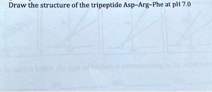 SOLVED: Draw the structure of the tripeptide Asp-Arg-Phe at pH 7.0