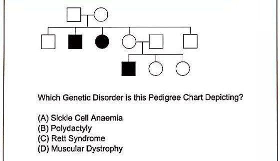 SOLVED: Which Genetic Disorder is this Pedigree Chart Depicting? (A ...