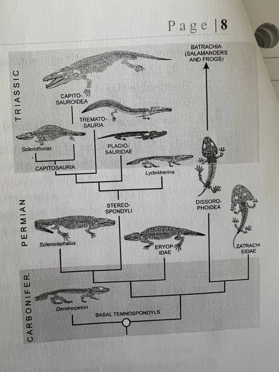 SOLVED: CARBONIFER. PERM|AN