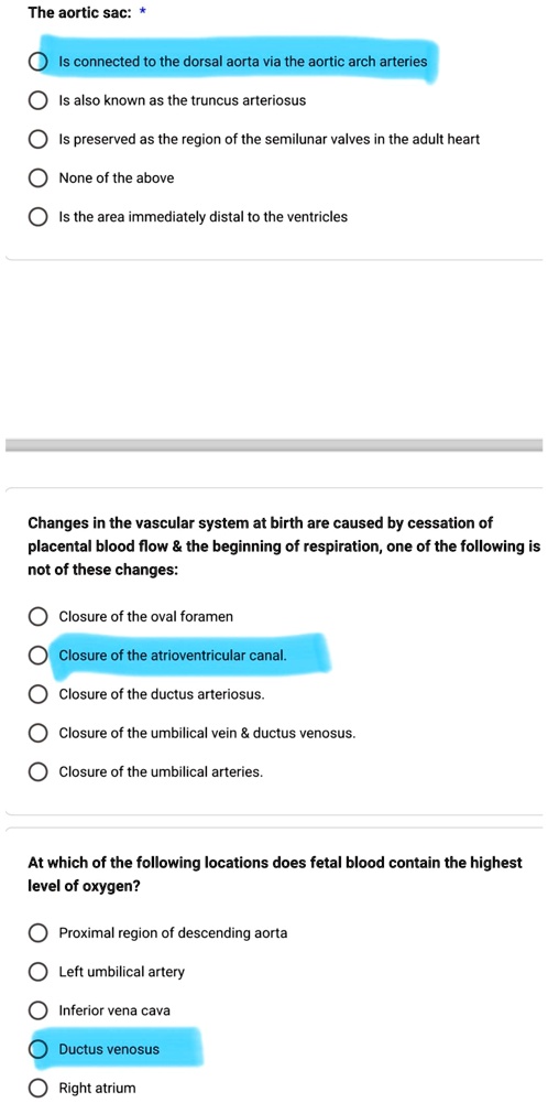 The Aortic Sac Is Connected To The Dorsal Aorta Via The Aortic Arch Arteries Is Also Known As