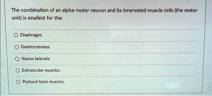 SOLVED: The combination of an alpha-motor neuron and its innervated ...