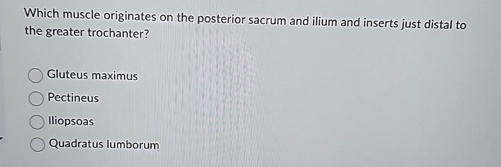 [GET ANSWER] which muscle originates on the posterior sacrum and ilium ...