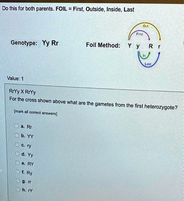 do this for both parents foil first outside inside last genotype yy rr ...