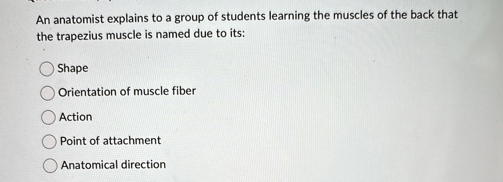 An anatomist explains to a group of students learning the muscles of ...