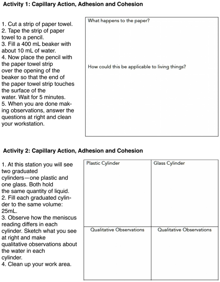 SOLVED: 'Need help for this experiment Activity 1: Capillary Action ...
