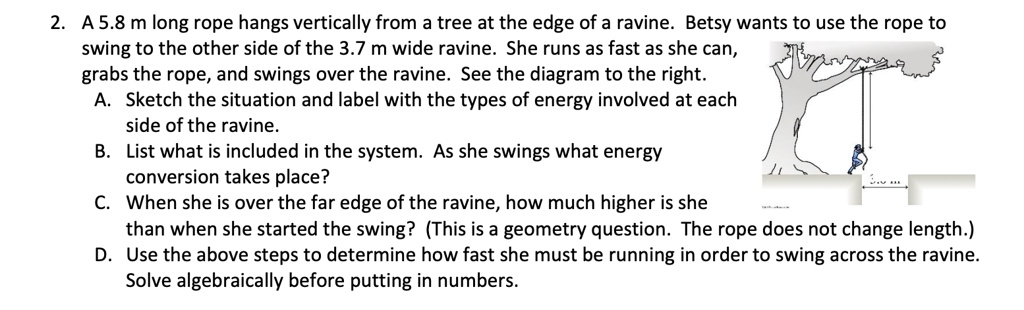 a 58 m long rope hangs vertically from a tree at the edge of a ravine ...