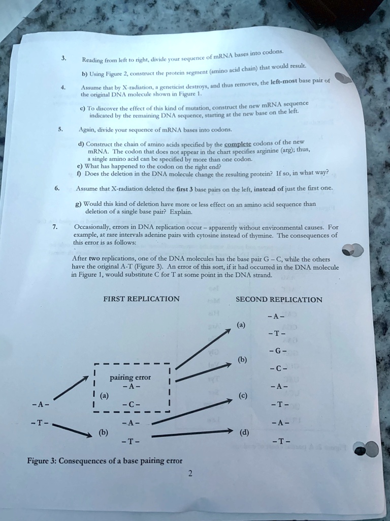 reading from left to right divide your sequence of mrna bases into codons b using figure 2 ...