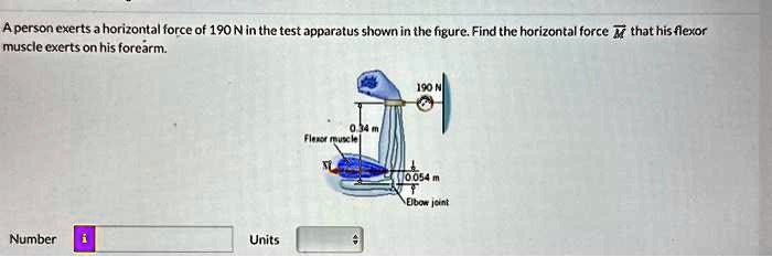 SOLVED: Texts: A person exerts a horizontal force of 190 N in the test ...