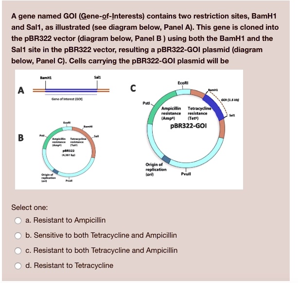 a gene named goi gene gf interests contains two restriction sites bamh1 ...