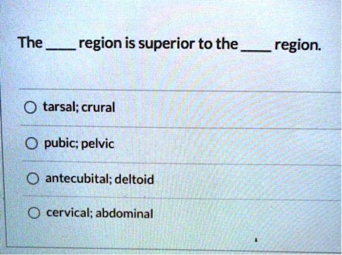 SOLVED: The region is superior to the region: 0 tarsal; crural pubic ...