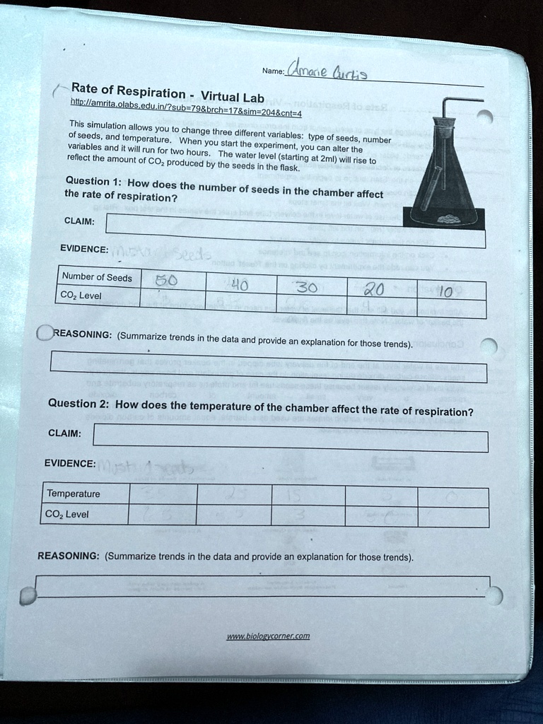 SOLVED: Rat of Respiration - Virtual Lab Name: (Anone budis Rate of ... SOLVED: Rat of Respiration - Virtual Lab Name: (Anone budis Rate of ...