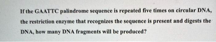 SOLVED: If the GAATTC palindrome sequence is repeated five times On ...