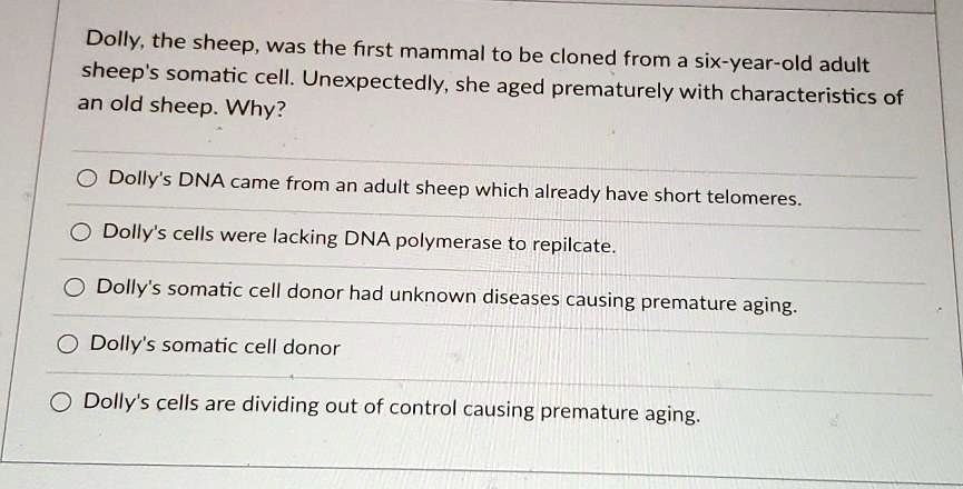SOLVED:Dolly, the sheep; was the first mammal to be cloned from sheep's ...