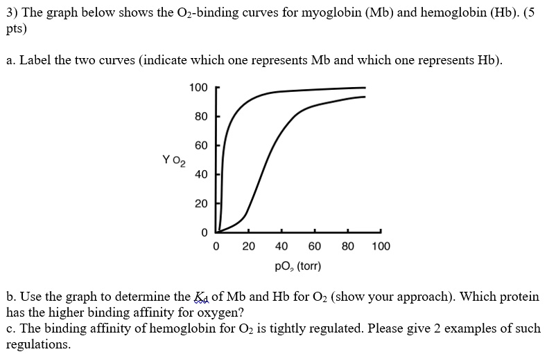 SOLVED: The graph below shows the O2-binding curves for myoglobin (Mb) and hemoglobin (Hb). (5 ...