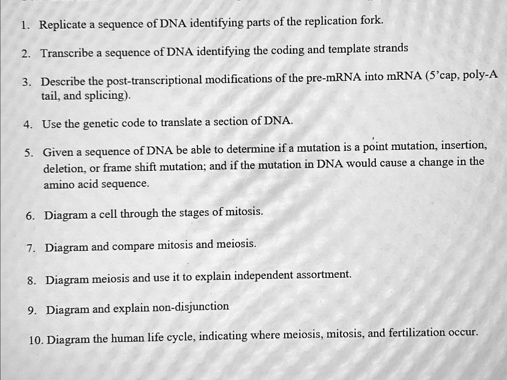 1. Replicate a sequence of DNA identifying parts of the replication ...