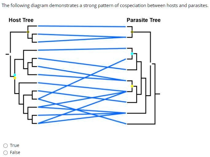 SOLVED: The following diagram demonstrates a strong pattern of ...