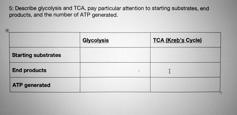 5 describe glycolysis and tca pay particular attention to starting ...