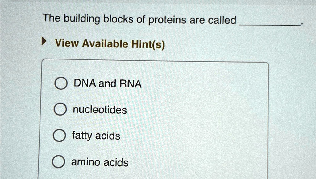 What Are The Building Blocks Of Proteins Sugars Fatty Acids Amino Acids ...
