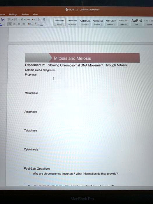 SOLVED: AnphCcl AbB ICADd AulnC-ul AaBb( Mitosis and Meiosis Experiment ...