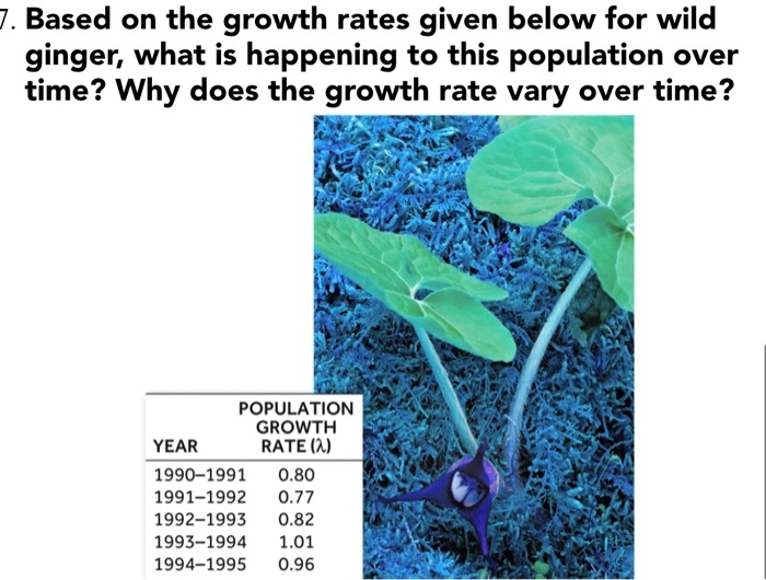 based on the growth rates given below for wild ginger what is happening ...