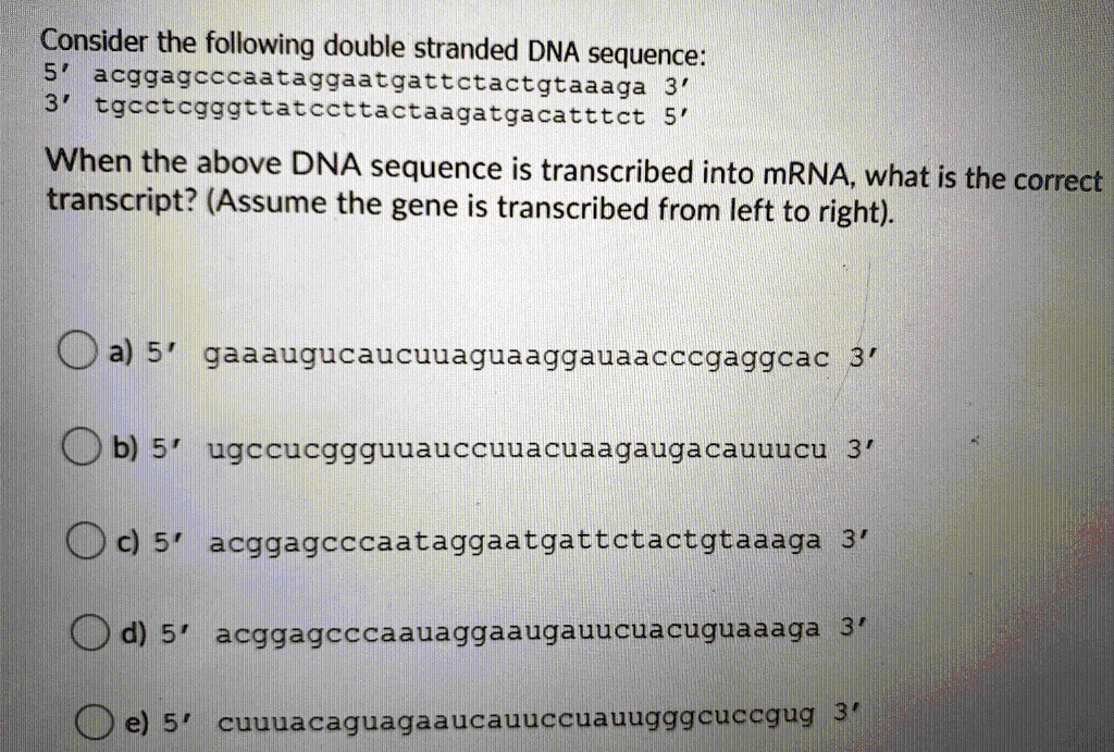 SOLVED: Consider the following double-stranded DNA sequence: 5 ...