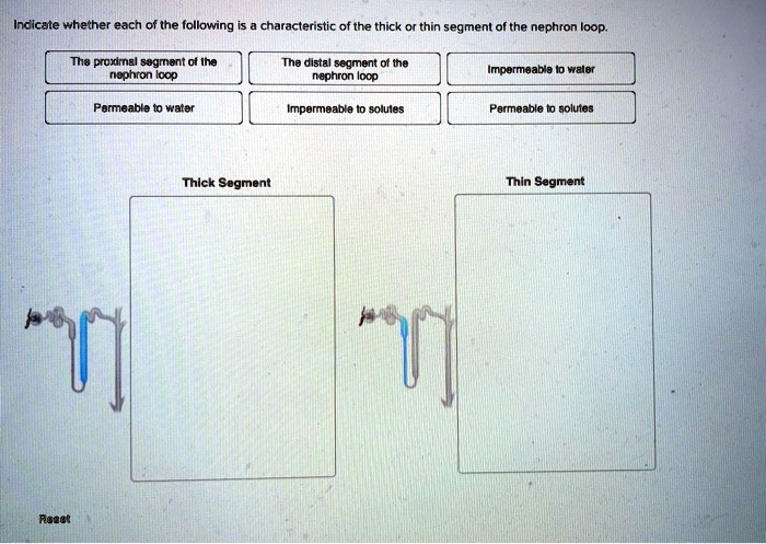 SOLVED: Text: Indicate whether each of the following is a ...