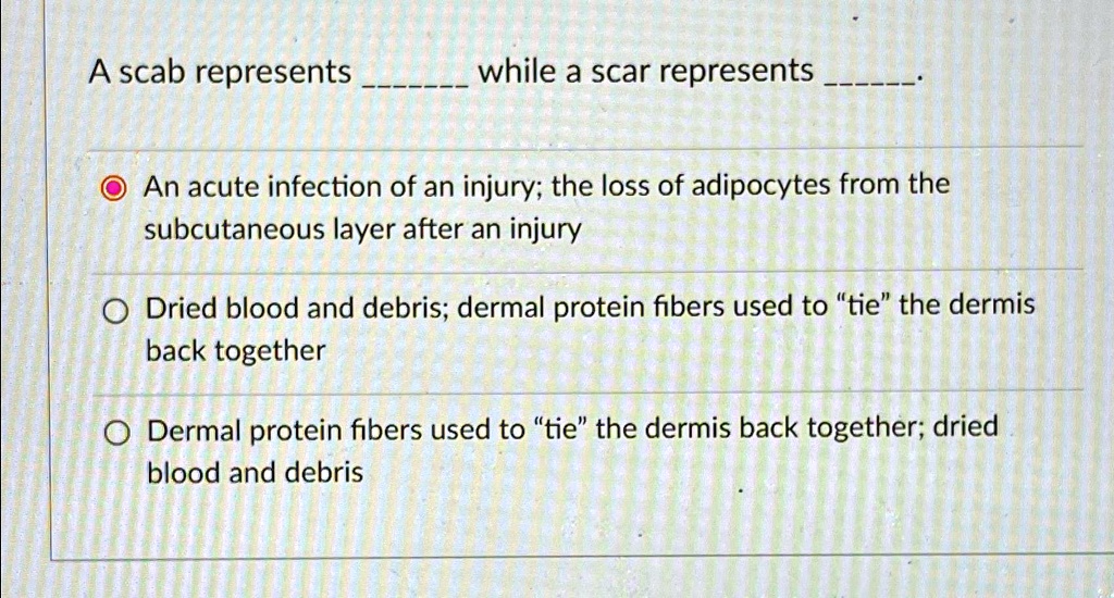 SOLVED: A scab represents while a scar represents An acute infection of ...