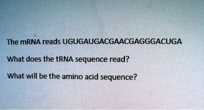 SOLVED: The mRNA reads UGUGAUGACGAACGAGGGACUGA What does the tRNA ...
