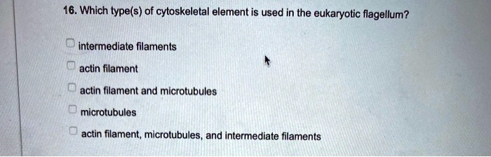 16 which types of cytoskeletal element is used in the eukaryotic ...
