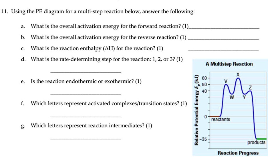 SOLVED:11. Using the PE diagram for a multi ~step reaction below ...