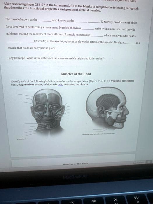 SOLVED: After reviewing pages 256-257 in the lab manual, fill in the ...